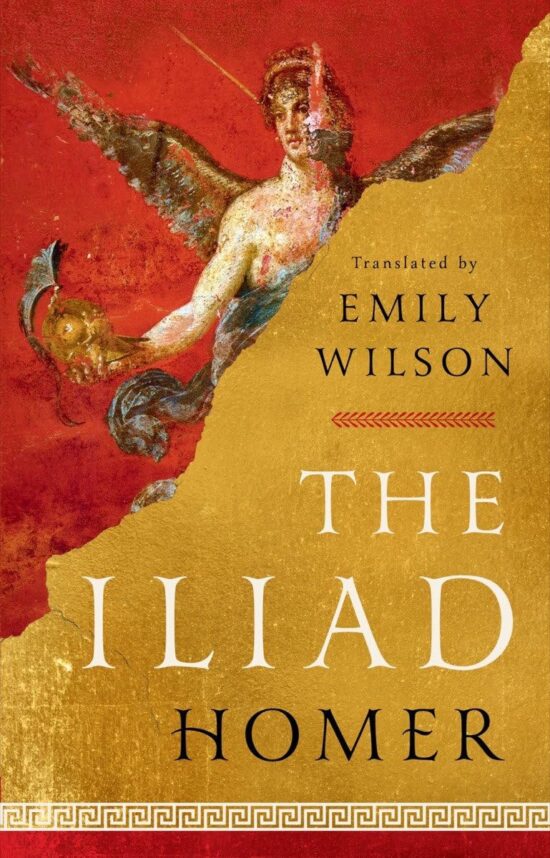 Summary of Homer's The Iliad, translated by Emily Wilson